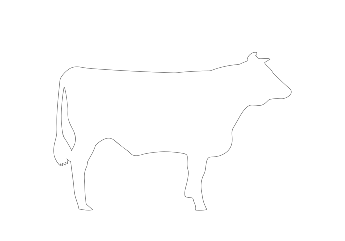 2208g X Umemaru – Legendary Akaushi Wagyu